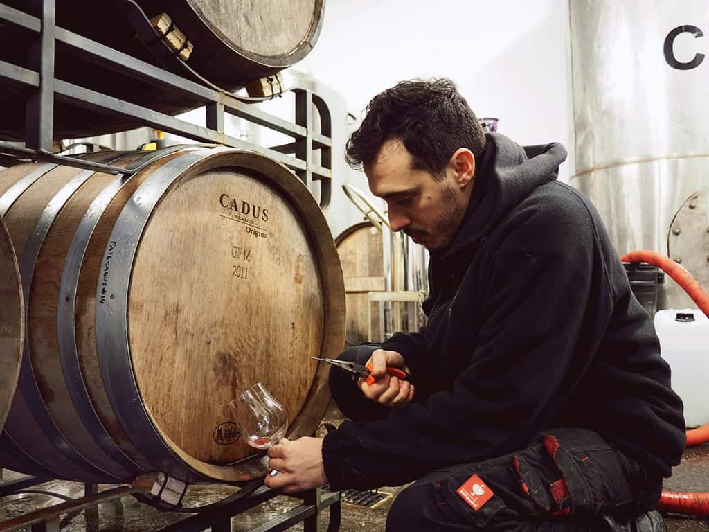 Origins Brewing - Fyne Ales